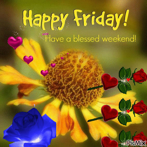 Happy Friday! Pictures, Photos, and Images for Facebook, Tumblr ...