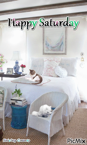 Relaxing Cats - Happy Saturday Pictures, Photos, and Images for ...