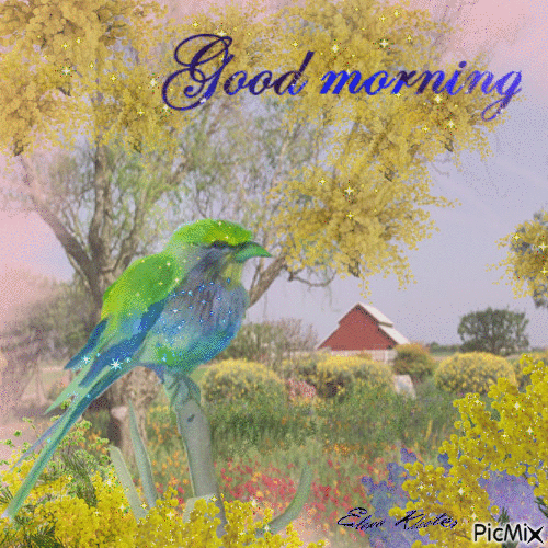Sparkling Bird In Nature - Good Morning Pictures, Photos, and Images ...