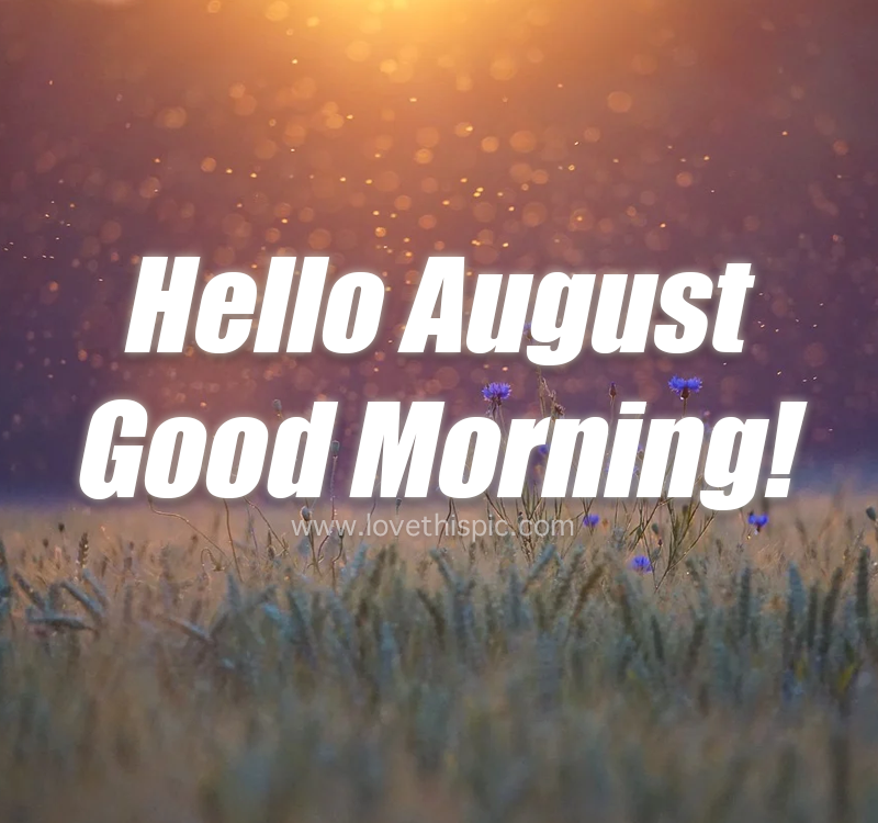 Cornflower Sunset: Hello August, Good Morning! Pictures, Photos, and ...