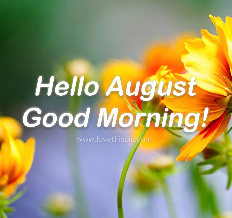 Yellow Blossoms: Hello August, Good Morning Pictures, Photos, and ...