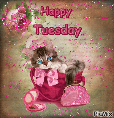 Happy Tuesday Pictures, Photos, and Images for Facebook, Tumblr ...
