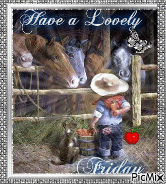 Horse Lovely Friday Pictures, Photos, and Images for Facebook, Tumblr ...