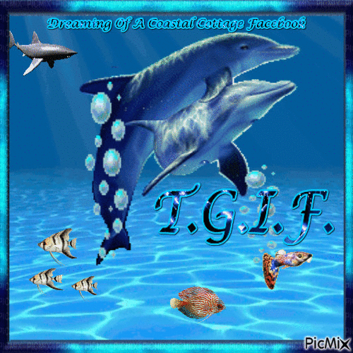 TGIF Pictures, Photos, and Images for Facebook, Tumblr, Pinterest, and ...