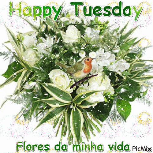 White Flower Happy Tuesday Gif Pictures, Photos, and Images for ...