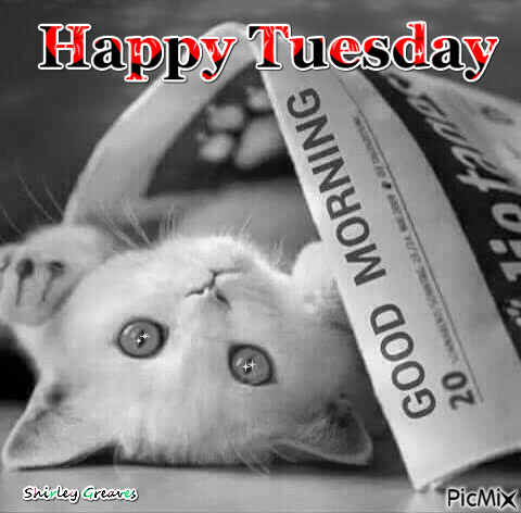 Upside Down Kitty: Good Morning Happy Tuesday Pictures, Photos, and ...