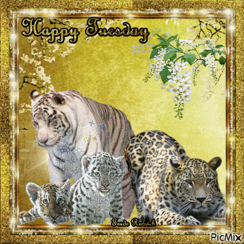 Tiger & Leopard Happy Tuesday Animated Quote Pictures, Photos, and ...