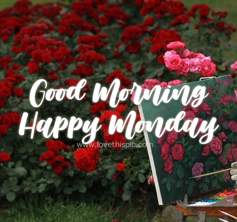 Painting Of Roses: Good Morning Happy Monday Pictures, Photos, and ...