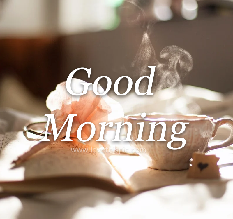 Calm Morning Pictures, Photos, and Images for Facebook, Tumblr ...