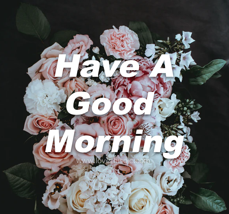Have A Good Morning Pictures, Photos, and Images for Facebook, Tumblr ...