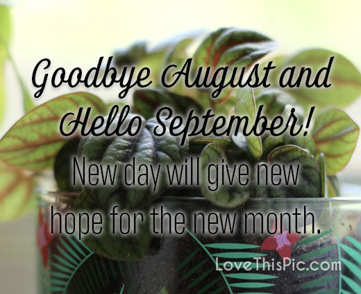 New Day Will Give New Hope Pictures, Photos, and Images for Facebook ...