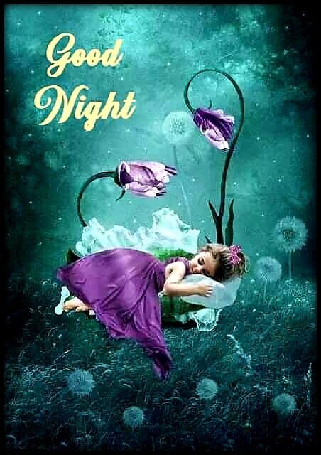 Good Night Sweet Dreams Girl