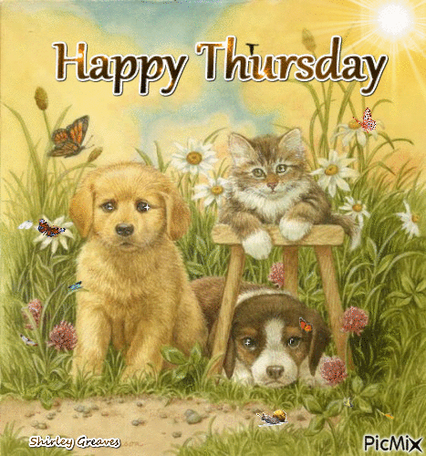 Dogs & Cat Happy Thursday Pictures, Photos, and Images for Facebook ...