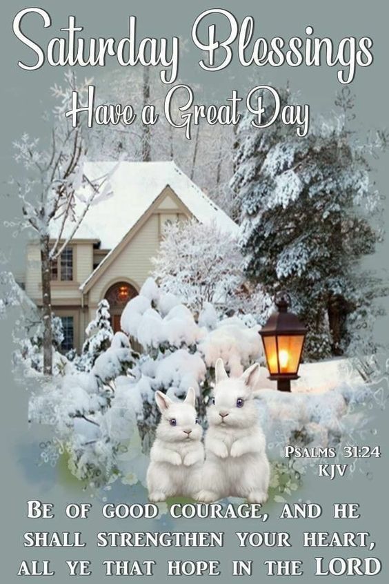 Snow Rabbit Saturday Blessings Pictures, Photos, and Images for ...