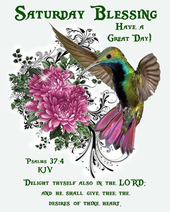 Hummingbird Saturday Blessing Quote Pictures, Photos, and Images for ...