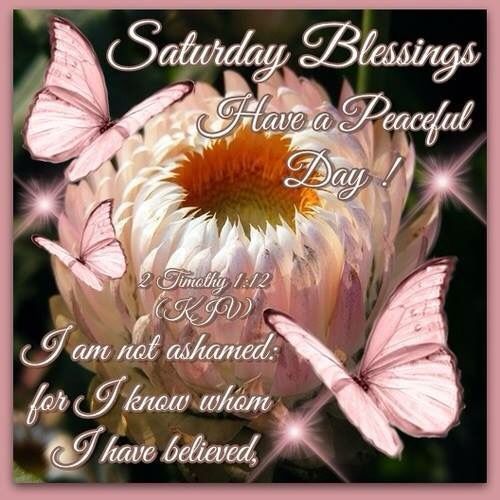 Saturday Butterfly Blessings Pictures, Photos, and Images for Facebook ...