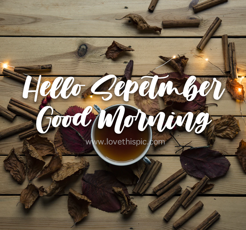 Cinnamon Sticks & Dried Leaves: Hello September, Good Morning Pictures ...