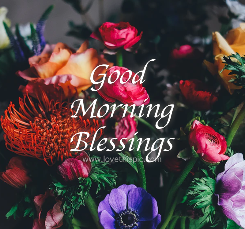 Assorted Flowers: Good Morning Blessings Pictures, Photos, and Images ...