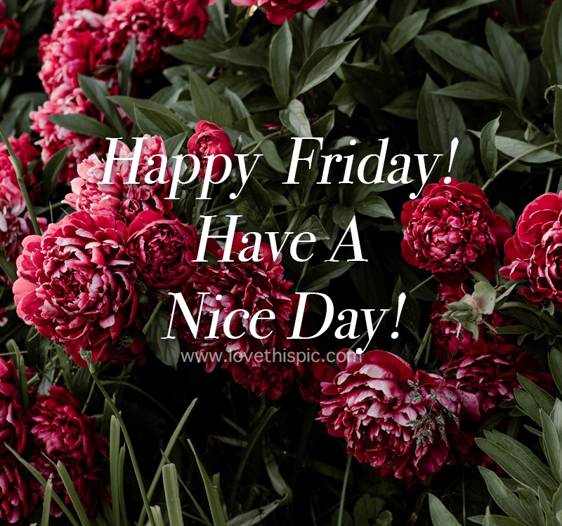 Nice Day Happy Friday Pictures, Photos, and Images for Facebook, Tumblr ...