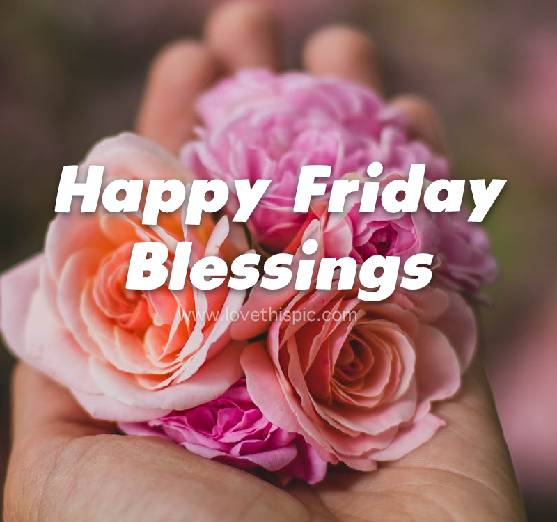 Hand Of Roses - Happy Friday Blessings Pictures, Photos, and Images for ...