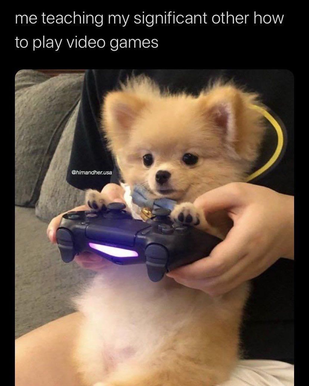 Teaching My Significant Other How To Play Video Games Pictures, Photos ...