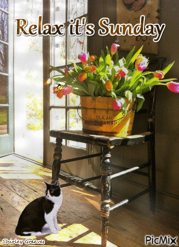 Sunday Relaxation Pictures, Photos, and Images for Facebook, Tumblr ...