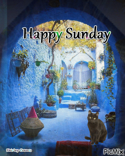 Black Cat Happy Sunday Gif Pictures, Photos, and Images for Facebook ...