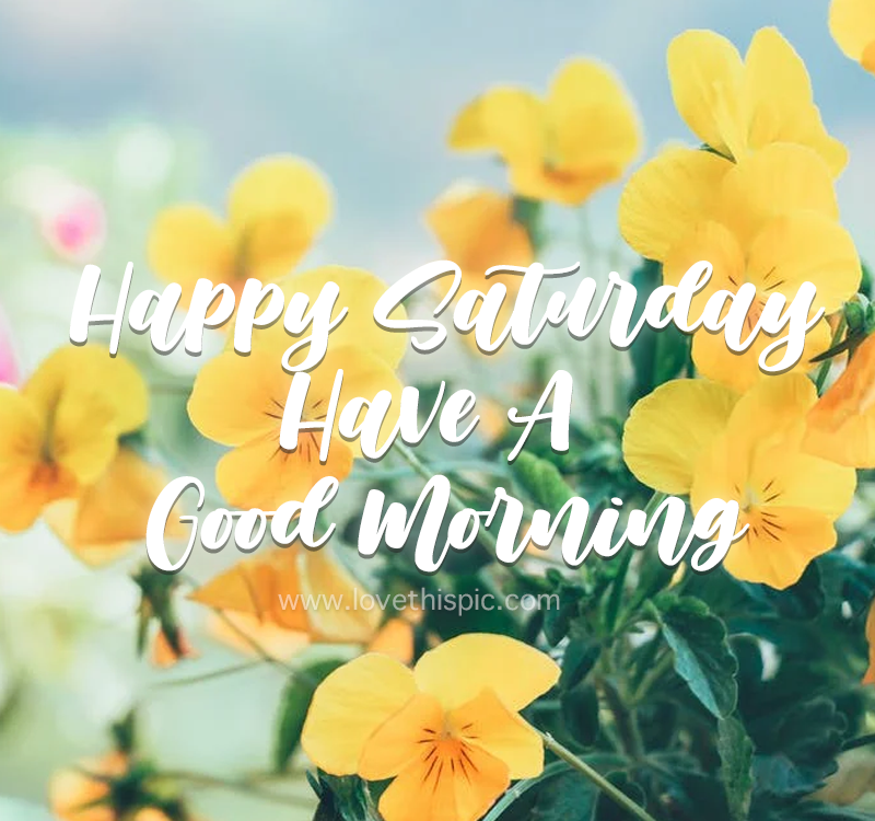 Have A Happy Saturday & Good Morning Pictures, Photos, and Images for ...