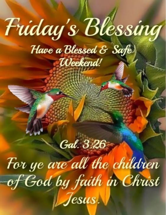 Have A Blessed Friday Images