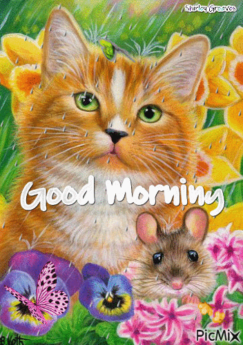 Good Morning Cat & Mouse Animated Quotes Pictures, Photos, and Images ...