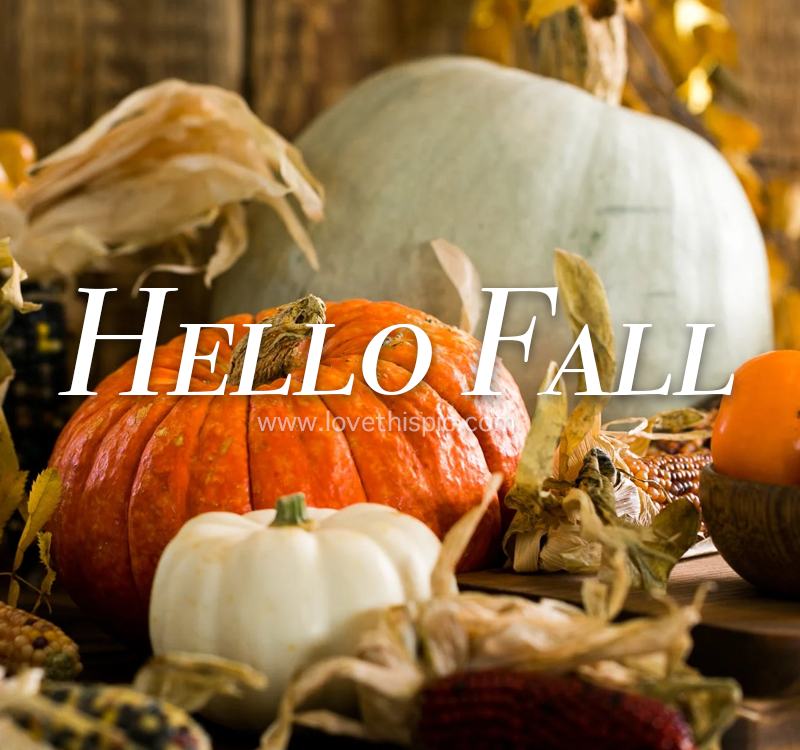 White & Orange Hello Fall Pumpkin Pictures, Photos, and Images for ...