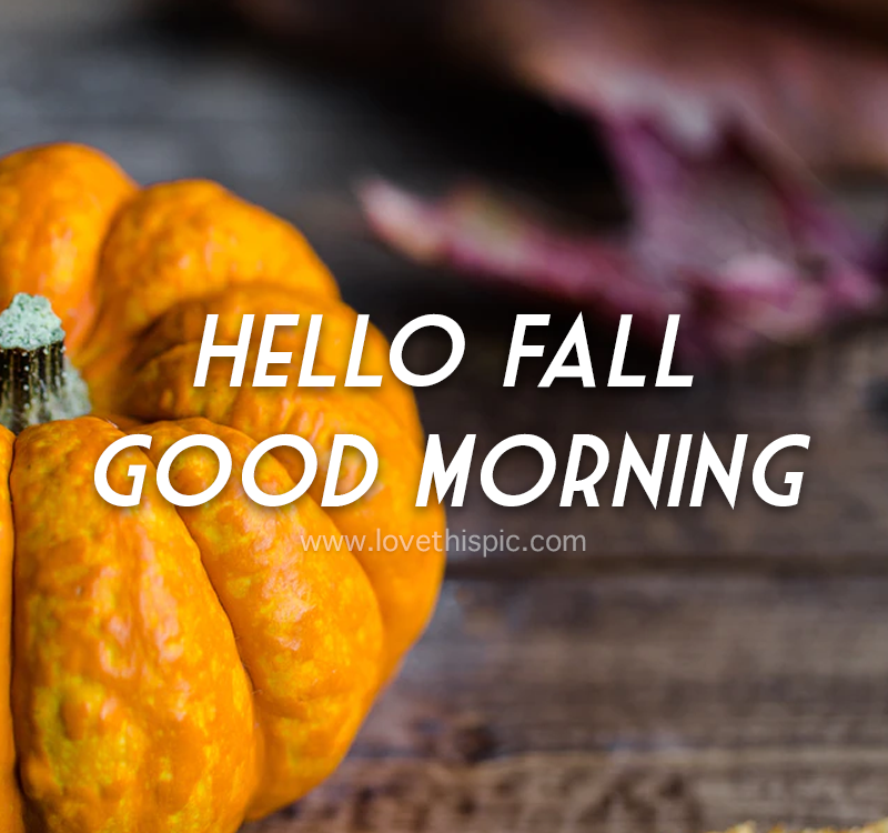 Orange Squash Hello Fall, Good Morning Pictures, Photos, and Images for ...