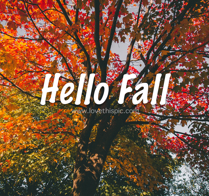 Colorful Hello Fall Tree Pictures, Photos, and Images for Facebook ...
