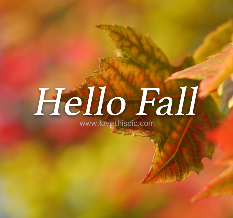 Hello Fall Pictures, Photos, and Images for Facebook, Tumblr, Pinterest ...