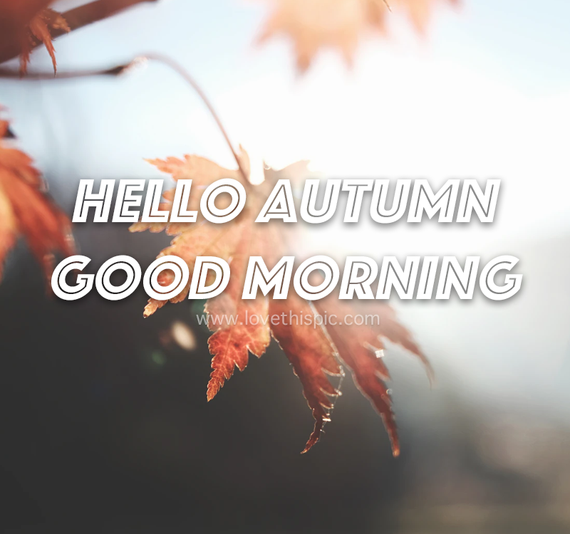 Hello Autumn, Good Morning Quote Pictures, Photos, and Images for ...