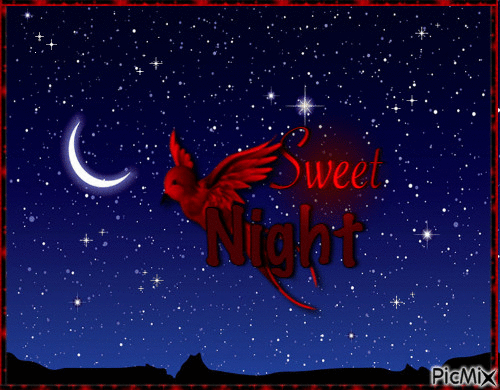 Sweet Night Pictures, Photos, and Images for Facebook, Tumblr ...