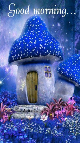 Mushroom Good Morning Quote Pictures, Photos, and Images for Facebook ...