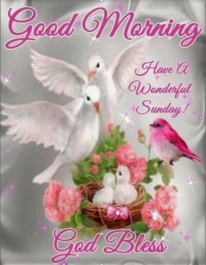 A Wonderful Sunday Pictures, Photos, and Images for Facebook, Tumblr ...