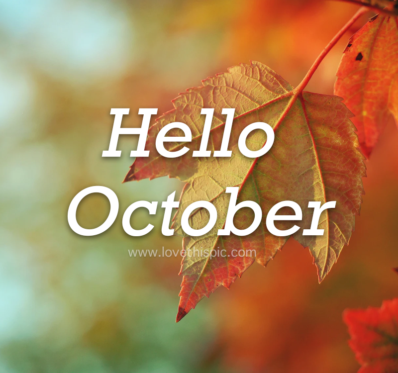 Hanging Leaf Hello October Quote Pictures, Photos, and Images for ...