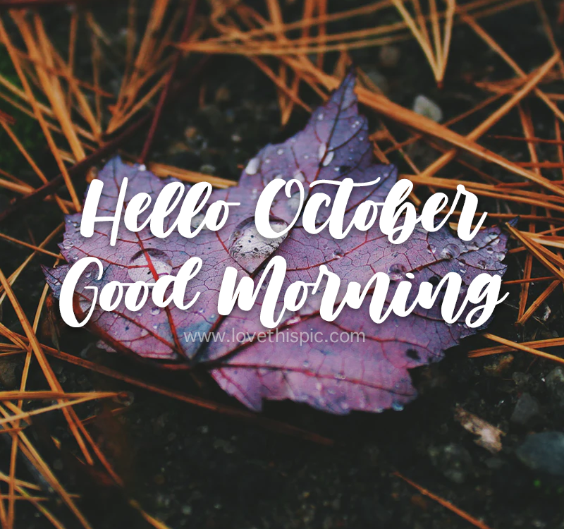 Water Leaf Hello October Good Morning Quote Pictures, Photos, and ...