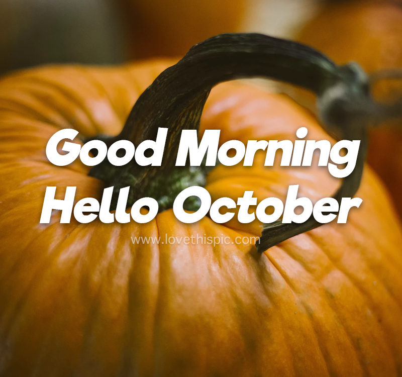 Close Of Pumpkin Good Morning Hello October Quote Pictures, Photos, and ...