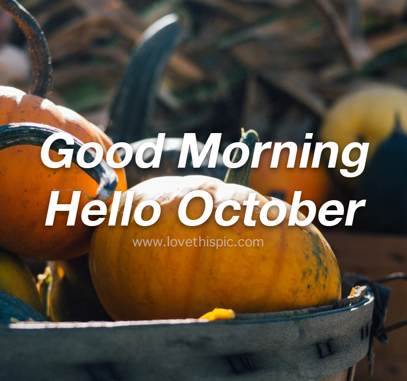 Patch Of Pumpkins Good Morning Hello October Quote Pictures, Photos ...
