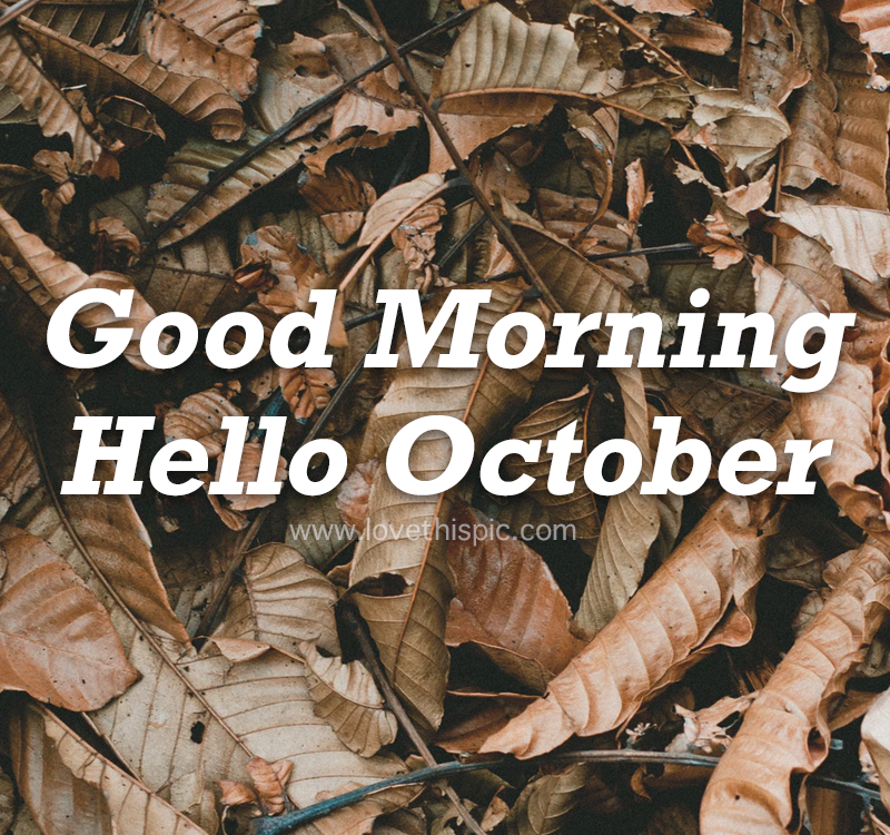 Brown Dried Leaves - Good Morning Hello October QUote Pictures, Photos ...