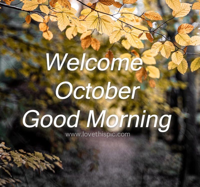 Leaves On Tree Welcome October Good Morning Quote Pictures, Photos, and ...