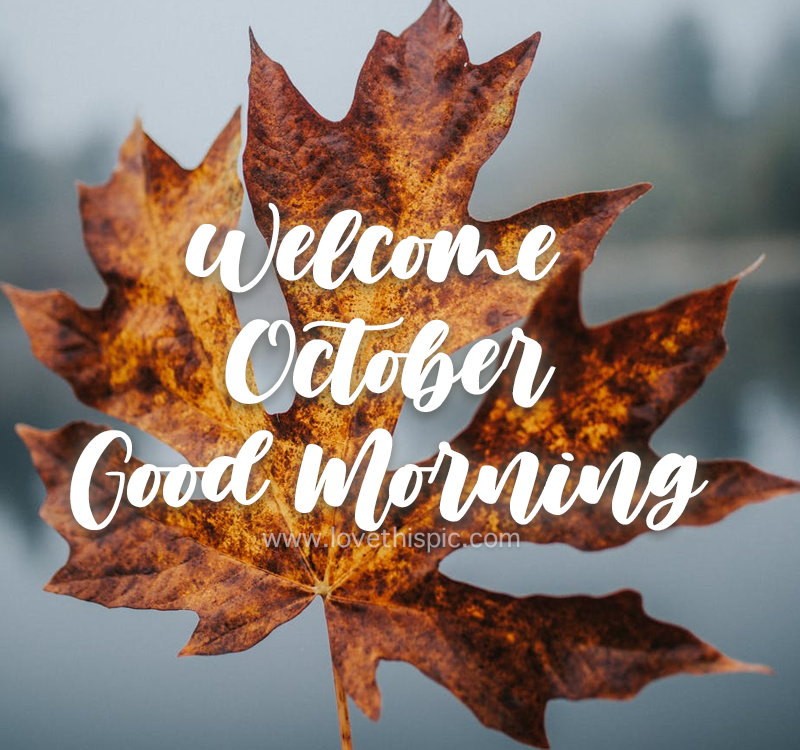 Brown Leaf Welcome October Good Morning Quote Pictures, Photos, and ...