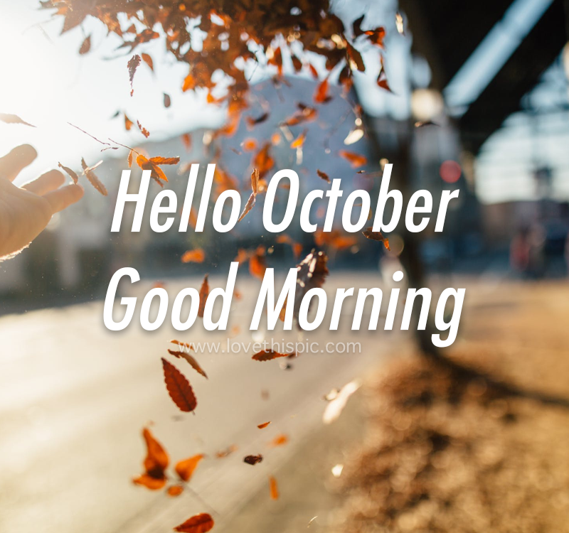 Leaves In The Air Hello October, Good Morning Quote Pictures, Photos ...