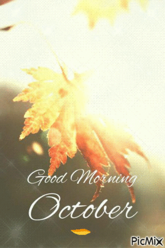 Good Morning October Gif Pictures, Photos, and Images for Facebook ...