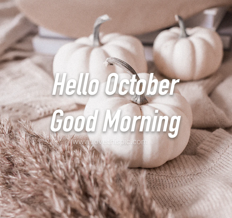 White Pumpkin Hello October Good Morning Quote Pictures, Photos, and ...