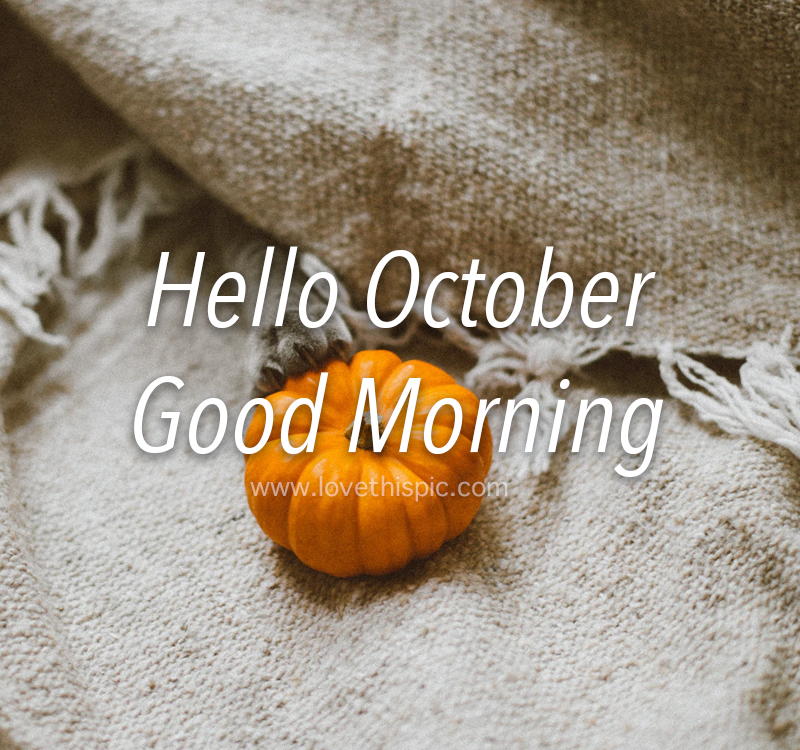 Kitty Holding Small Pumpkin - Hello October Good Morning Quote Pictures ...
