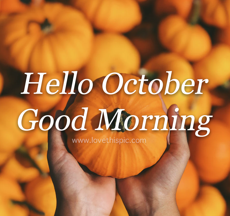 Pumpkin October Good Morning Quote Pictures, Photos, and Images for ...